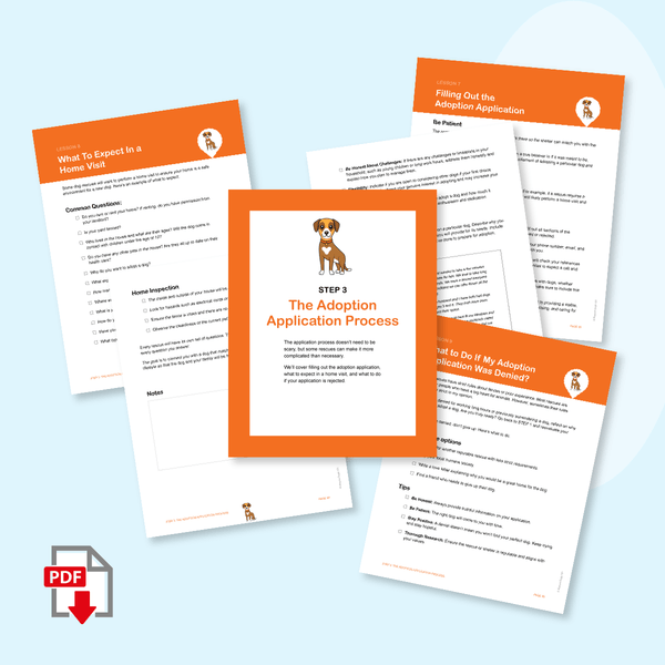 Dog Adoption Workbook: The Roadmap to Adopting Your Perfect Dog ...