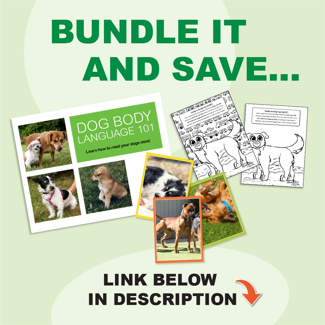 Dog Body Language 101 TEEN/ADULT Coloring Book – Rescue Dogs 101