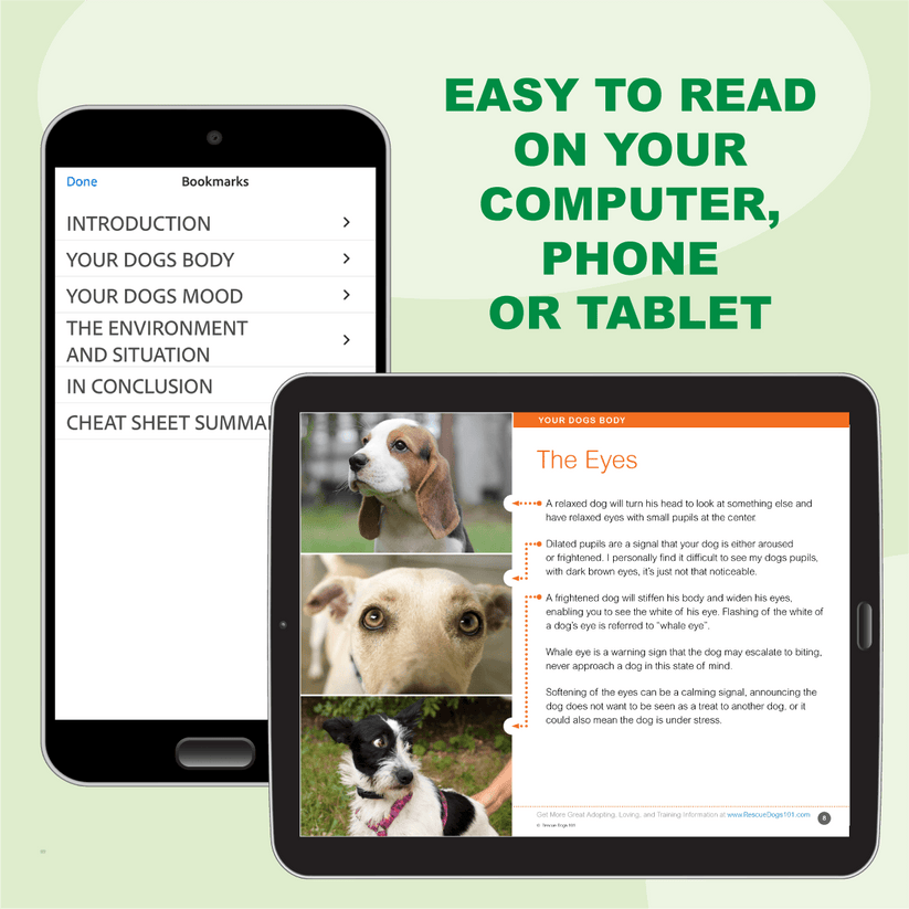 Dog Body Language 101 Guide – Rescue Dogs 101