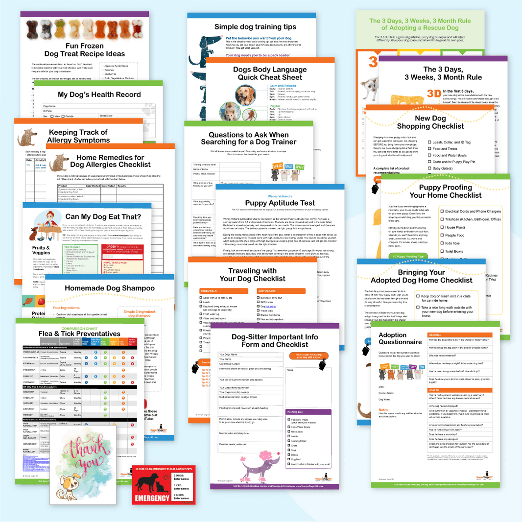 Making your dog happy & your life easier with digital printables ...