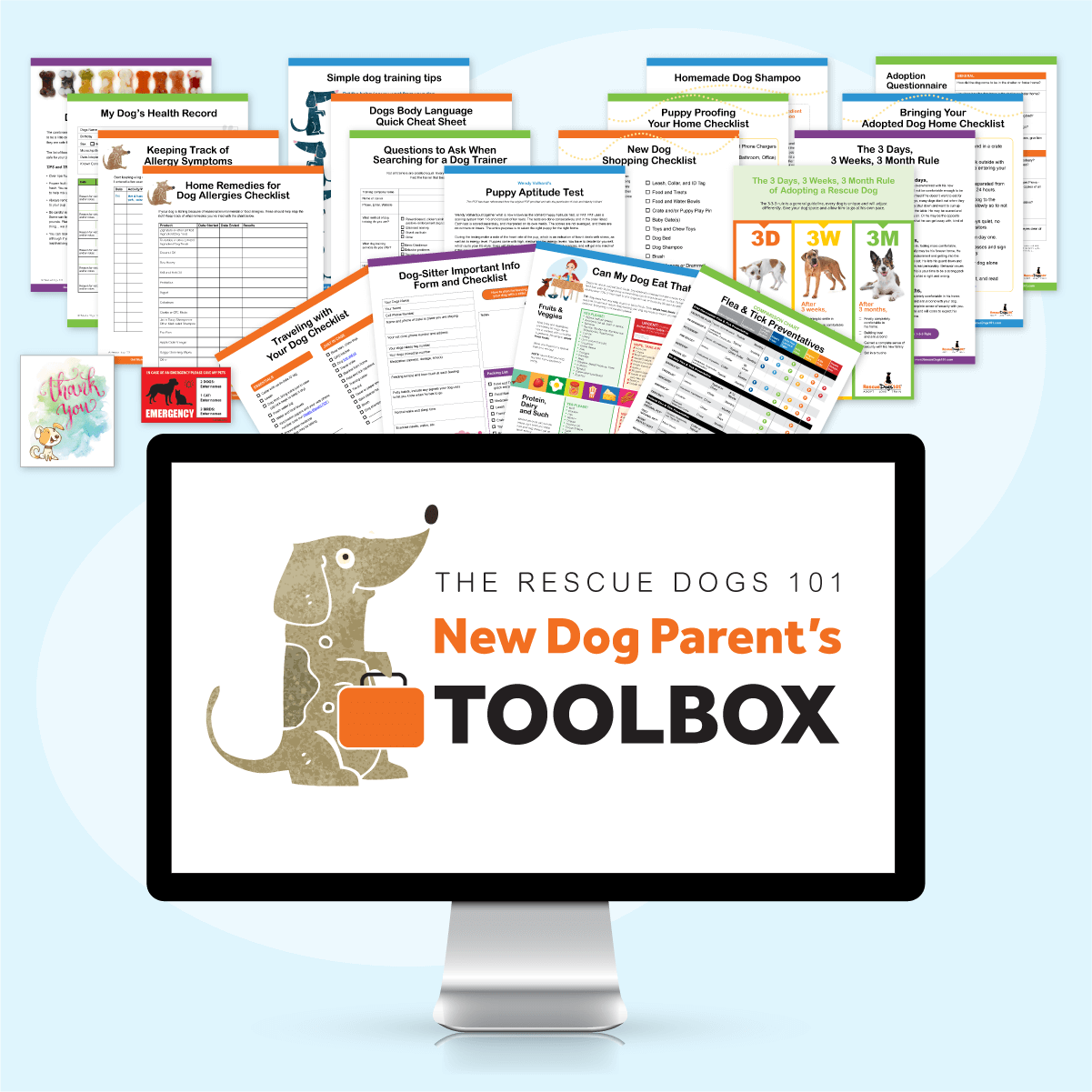 New Dog Parent's Toolbox – Rescue Dogs 101