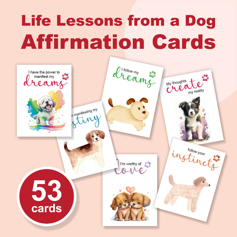 Life Lessons from a Dog Affirmation Cards – Rescue Dogs 101